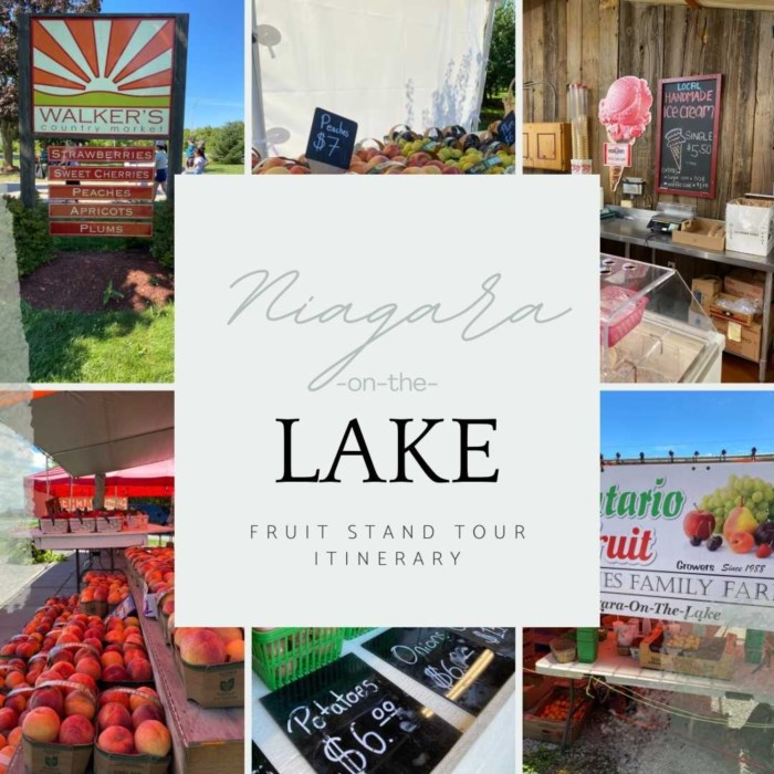 Fruit Stand Tour - Itineraries and Tips